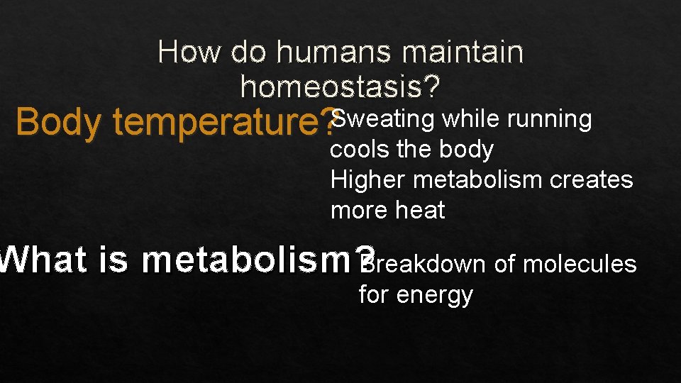 Human Body Systems Homeostasis Bell Ringer Digestion Six