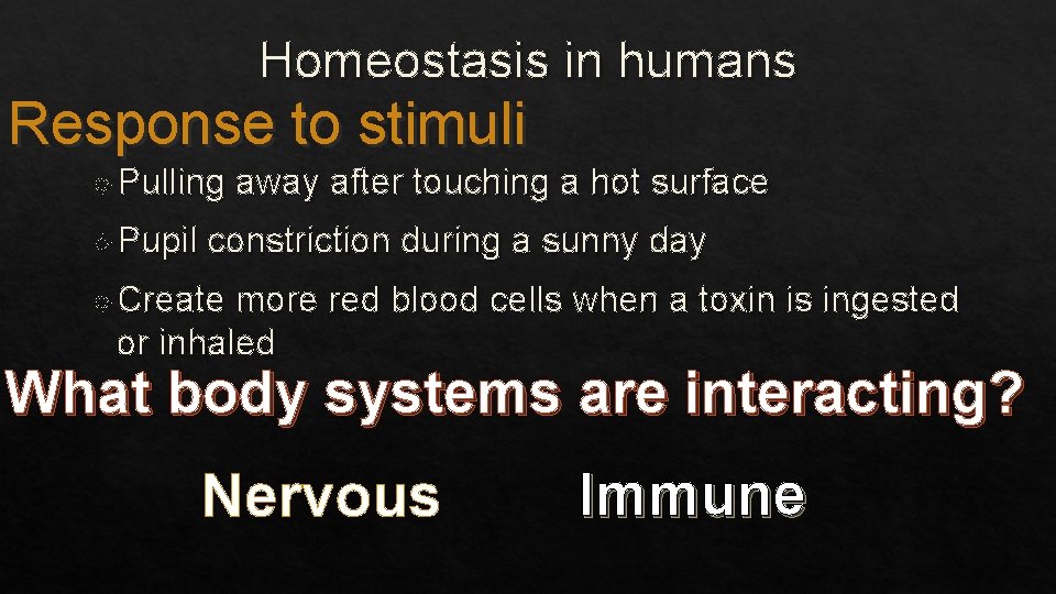 Human Body Systems Homeostasis Bell Ringer Digestion Six