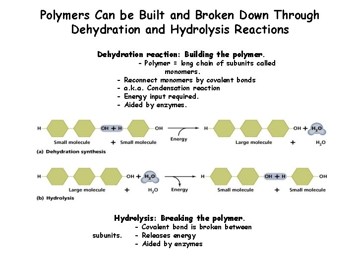 About Science Prof Online Power Point Resources Science