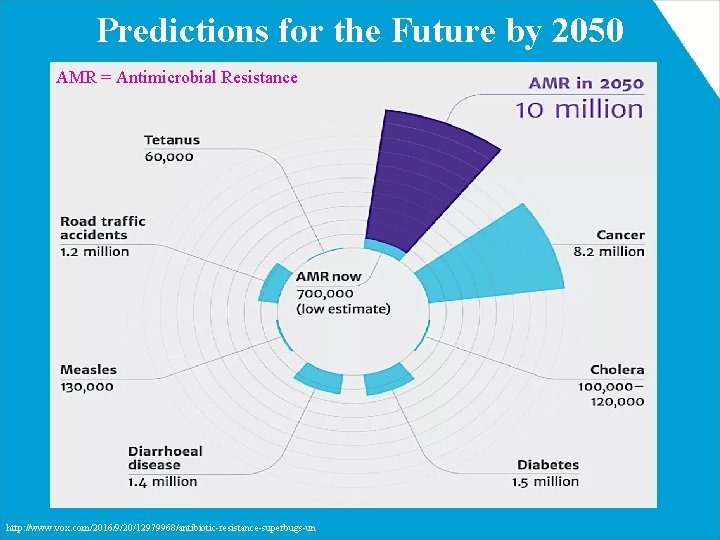 The Role of the Antimicrobial Stewardship In the