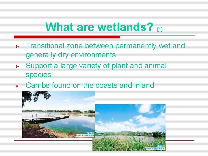 The wetland ecosystem urban development producer Tam Kit
