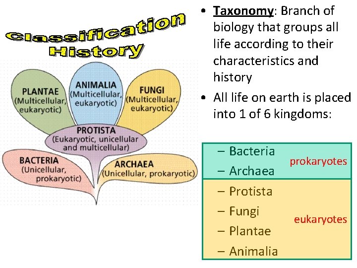 Taxonomy Branch of biology that groups all life