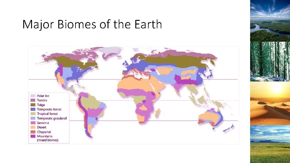 Defining Biomes Chapter 4 4 What Should Our