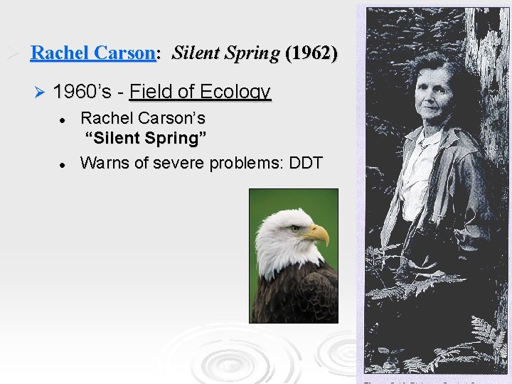 Environmental Problems Their Causes and Sustainability Core Case