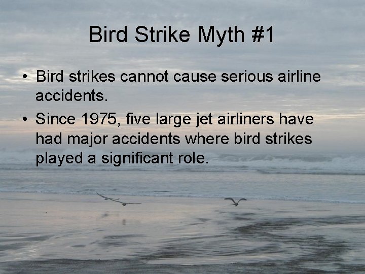 Bird Strikes Hazards and Avoidance Sponsored by the