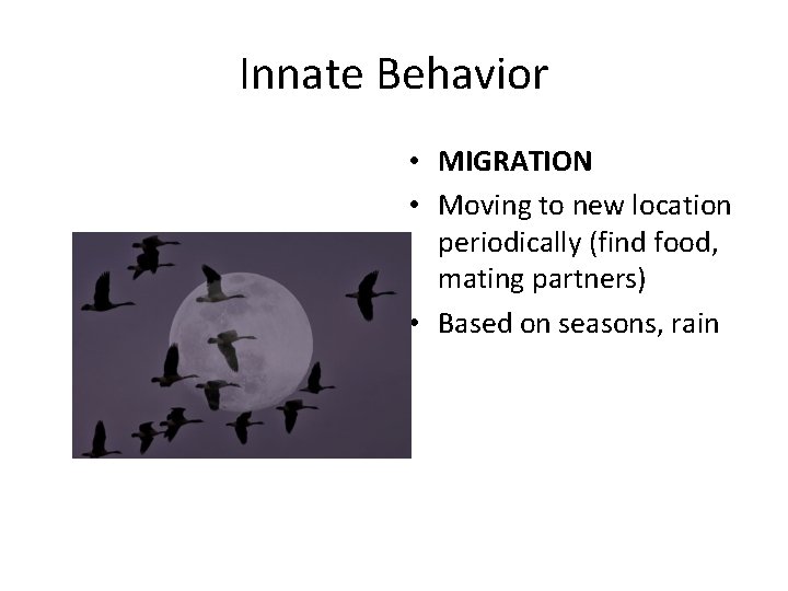 HAVE YOUR ANIMAL BEHAVIOR STUDY GUIDE OUT ON