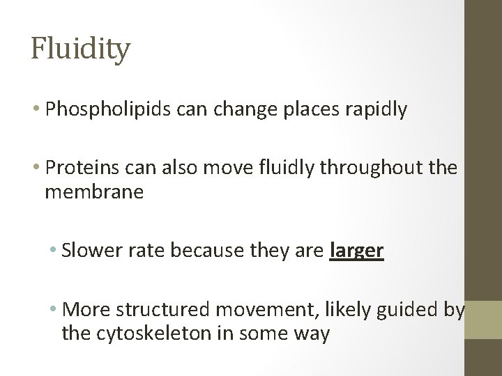 Membrane Structure and Transport Section 3 2 Chapter