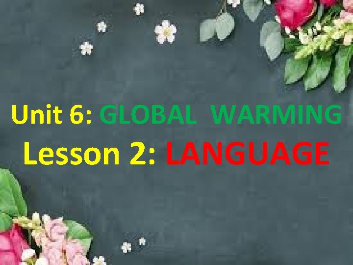 Unit 6 GLOBAL WARMING Lesson 2 LANGUAGE PRONUNCIATION