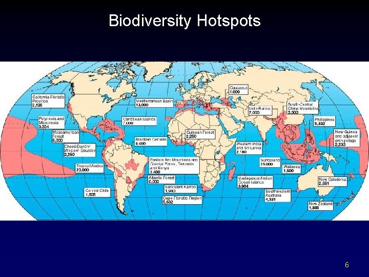 Biodiversity 1 BIODIVERSITY Includes a variety of factors