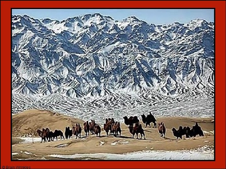 Southern Eastern Asia POPULATION TRADE Brain Wrinkles STANDARDS