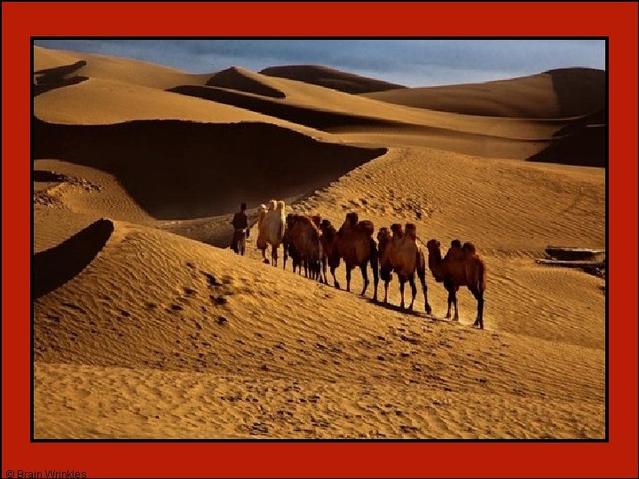 Southern Eastern Asia POPULATION TRADE Brain Wrinkles STANDARDS