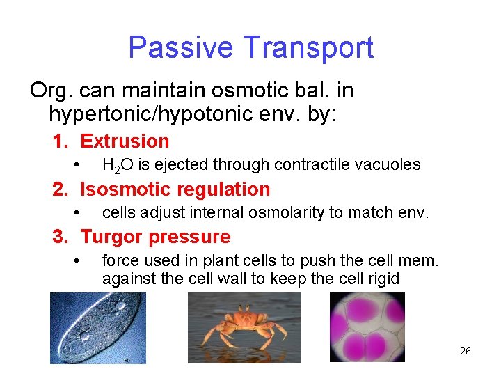 Membranes Chapter 5 Membrane Structure Fluid mosaic model