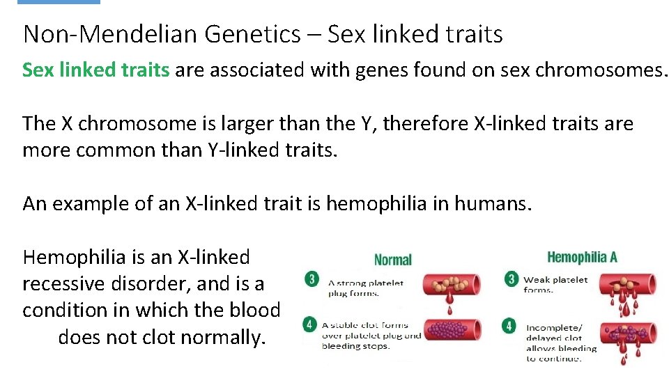 Beyond Mendelian Inheritance Part 2 Lesson Number 5