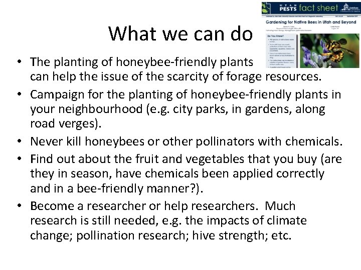 Chemical misuse Threats to honeybees what we can