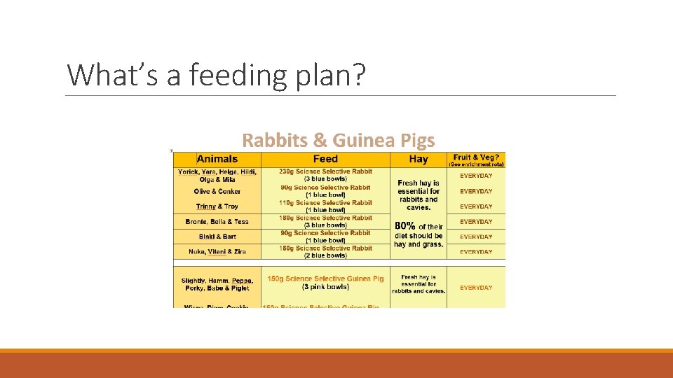 Lifestyle Lifestage Balanced diets and Nutrition SUZIE SIMPSON