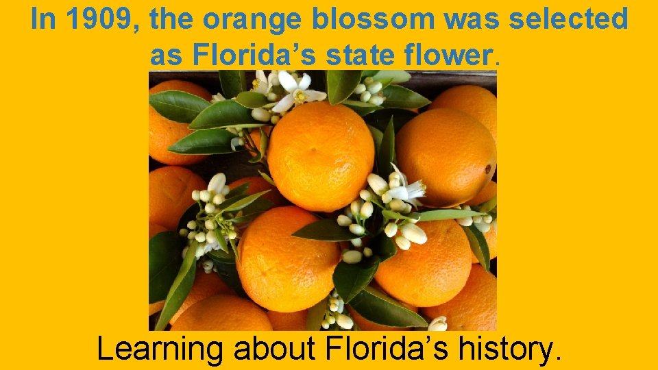Learning About Floridas History By Cara Edenfield Groupbygroup