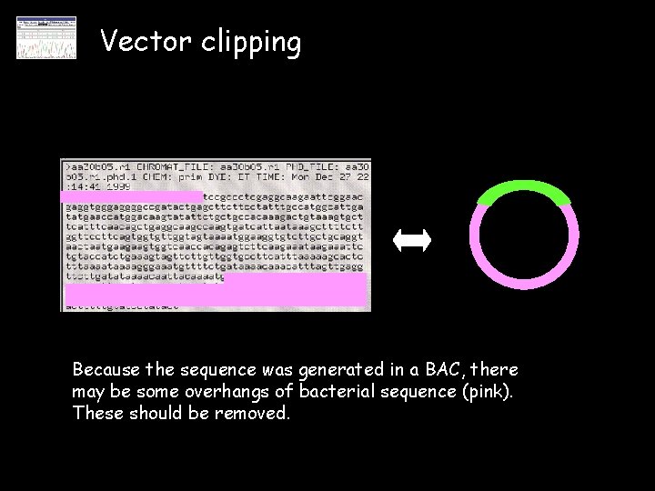 BI 420 Introduction to Bioinformatics Introduction to Sequencing