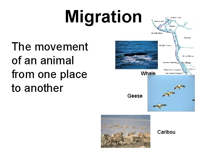 2 nd Grade Vocabulary Part Four Review Living