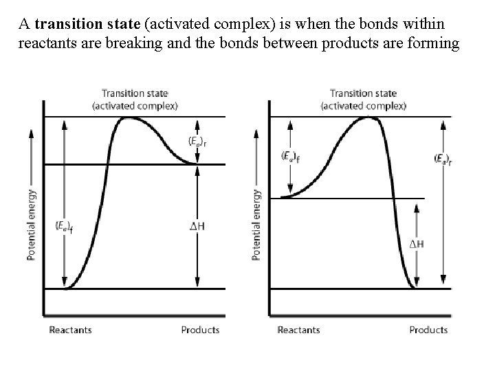 An Introduction to Metabolism Energy changes are involved
