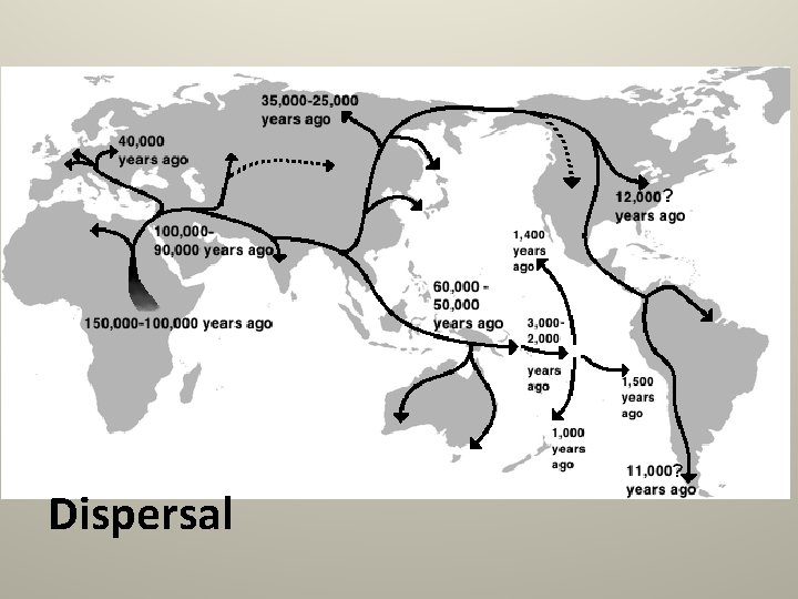AP World History Early Humans Even before 8000