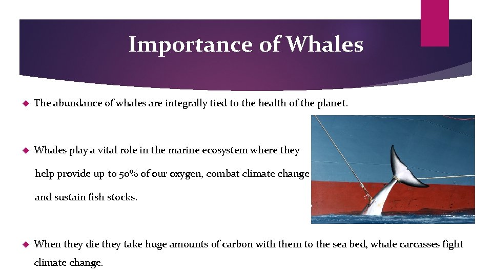 Whaling JANET STEWART Public Policy Analyst PPA q