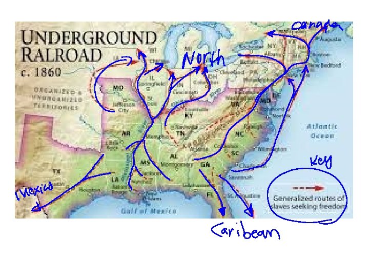 Differences between the North and South How did
