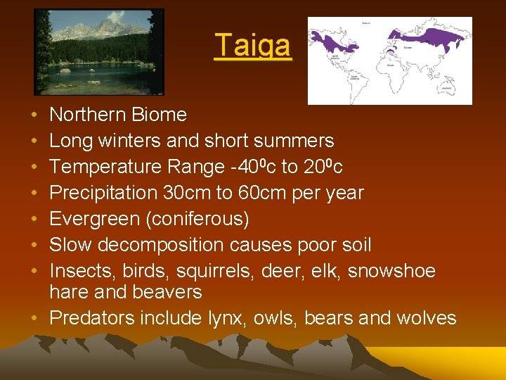 Biomes contain many ecosystems Section 1 4 Taiga