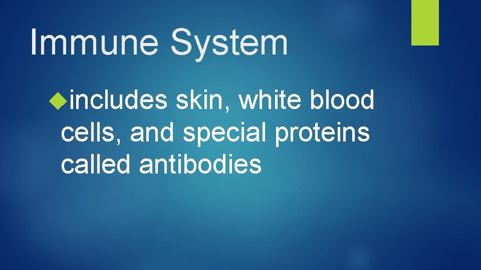 Antibodies Immune System organs and tissues that work