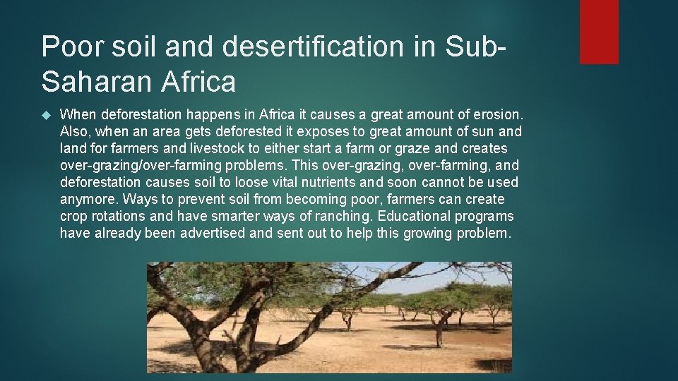 Environmental Issues BY CAILIN COOPER Water pollution and