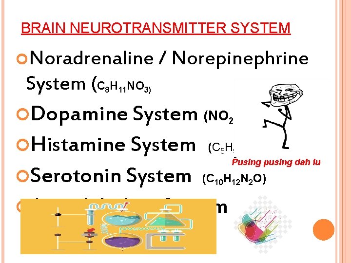 PSYPHAR CHAPTER III BRAIN NEUROTRANSMITTER SYSTEMS By Yoga