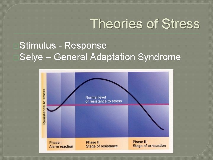 All you need to know about STRESS Megan