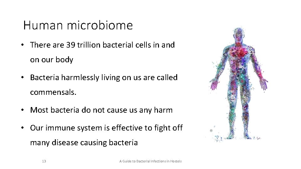 A Guide to Bacterial Infections in Hostels Presenter
