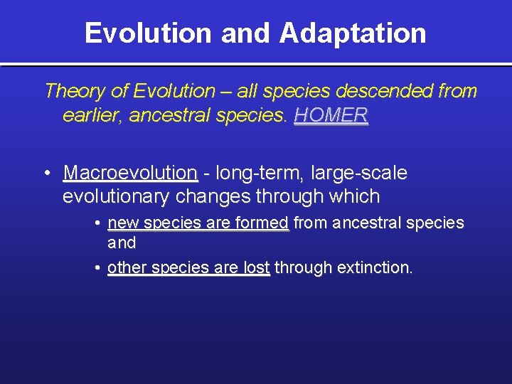 Evolution and Biodiversity Origins Niches and Adaptations What