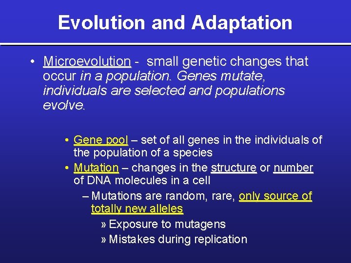 Evolution and Biodiversity Origins Niches and Adaptations What