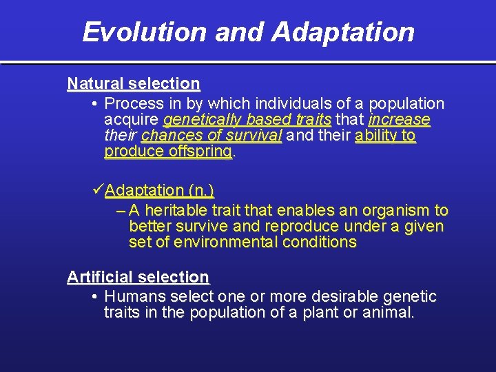 Evolution and Biodiversity Origins Niches and Adaptations What