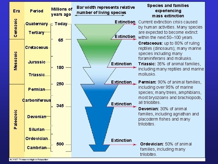 Evolution and Biodiversity Origins Niches and Adaptations What