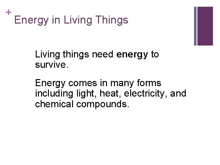 Chemical Pathways Objectives 1 What is the energy