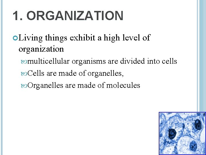 UNIT 1 Biology Whats it all about UNIT