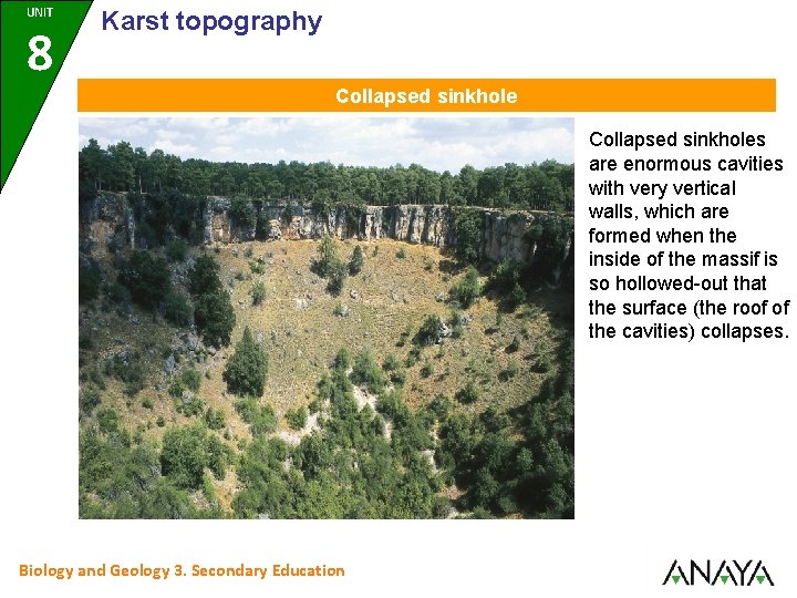 UNIT 8 Surface processes KARST TOPOGRAPHY Biology and