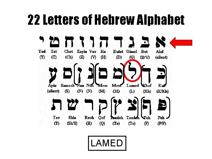 Lessons from the lamed 22 Letters of Hebrew