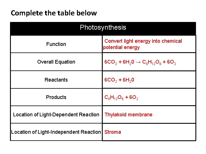 GRADING RUBRIC WKS Photosynthesis and Cellular Respiration Part