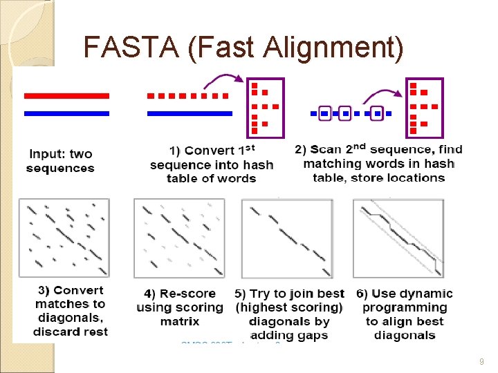 CSCE 555 Bioinformatics Lecture 6 Sequence Alignment part