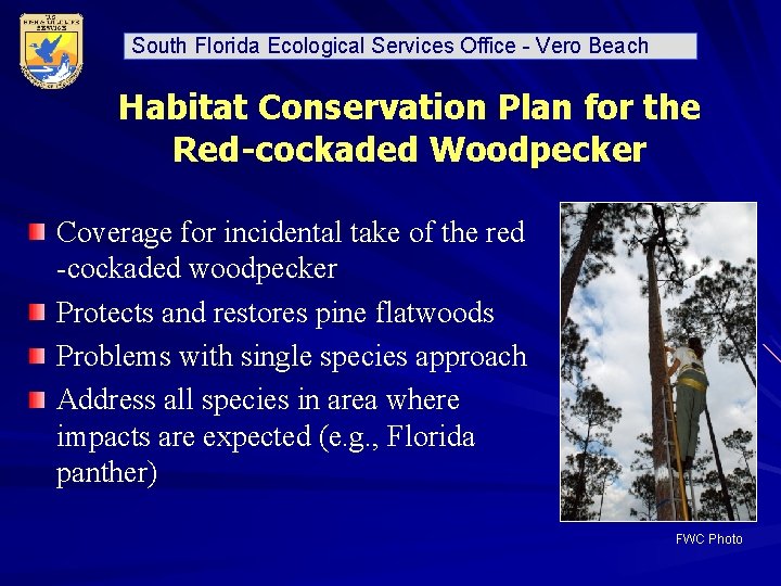 South Florida Ecological Services Office Vero Beach Conservation