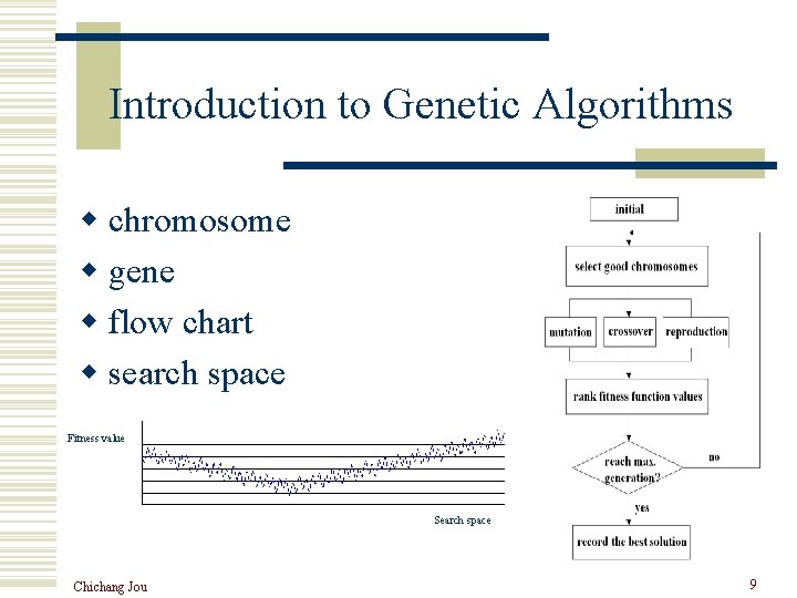 A Genetic Algorithm with SubIndexed Partitioning Genes and
