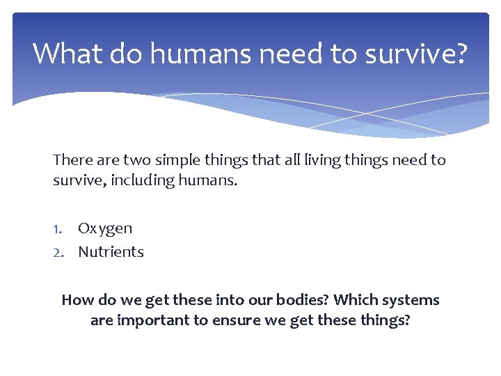 Organ Systems What is the human body The