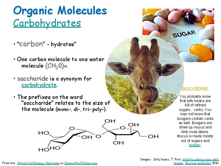 About Science Prof Online Power Point Resources Science