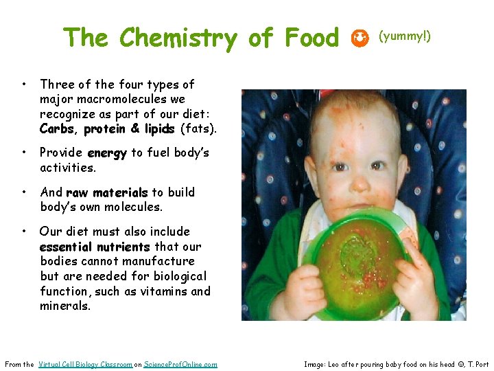 About Science Prof Online Power Point Resources Science