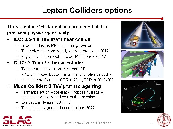 Future Lepton Collider Directions David B Mac Farlane