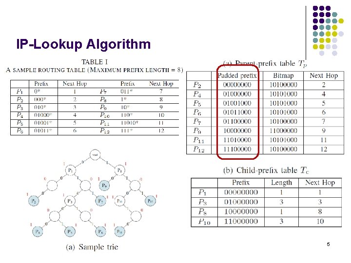 HighThroughput IPLookup Supporting Dynamic Routing Tables using FPGA