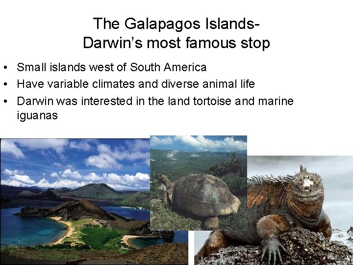 Chapter 15 Evolution Notes Before Darwin people thought